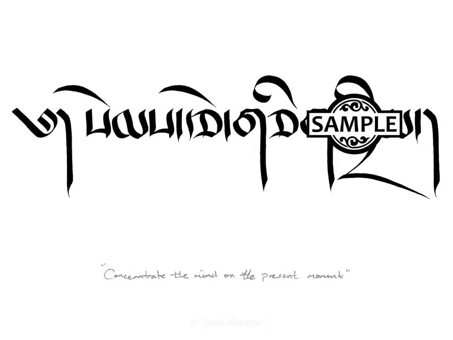 Now - Drutsa roundel design - Tashi Mannox